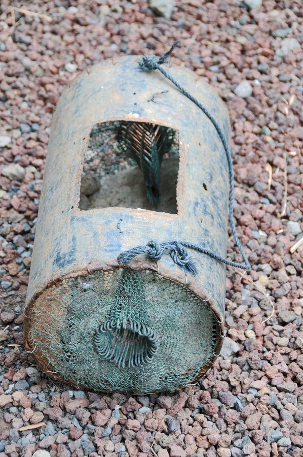 Old Vintage Rusty Fishing Trap Stock Image - Image of fishermen, blue ...