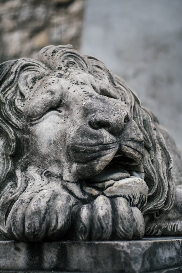 Old Vintage Statue of a Lion Monument Stock Image - Image of detail ...