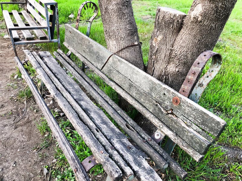 Old Vintage Wooden Bench in the Park. Stock Image - Image of outdoor ...