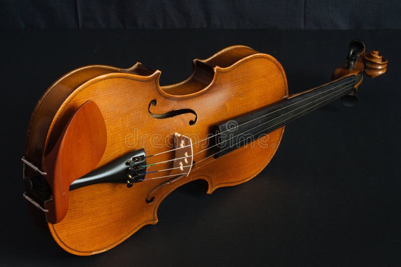 Violin Back View White Back Photos - Free & Royalty-Free Stock Photos ...