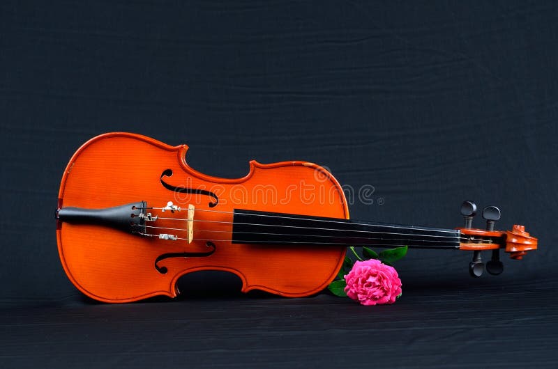 Old Violin on Black Silk Fabric with Rose Stock Image - Image of lovely ...