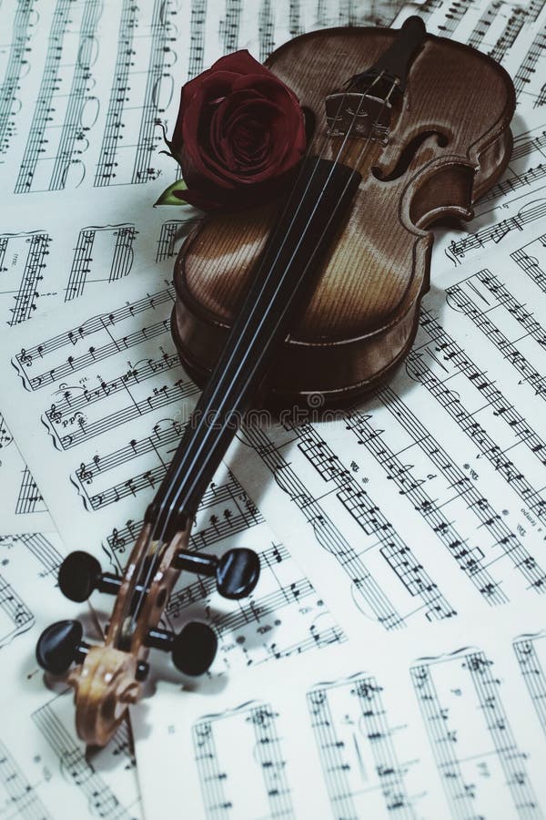 Old Violin with Musical Notes and Rose Stock Image - Image of string ...