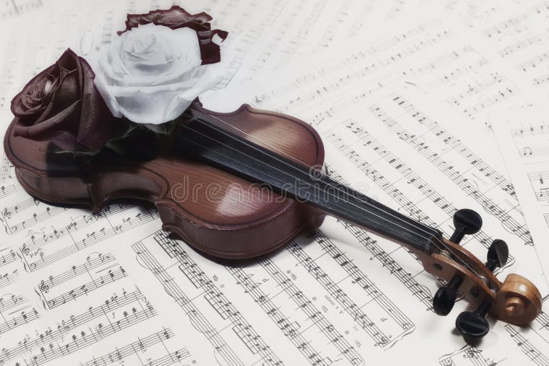 Old Violin with Musical Notes and Rose Stock Image - Image of ...