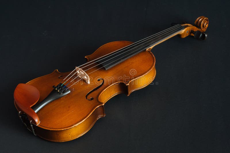 Violin Back View White Back Photos - Free & Royalty-Free Stock Photos ...