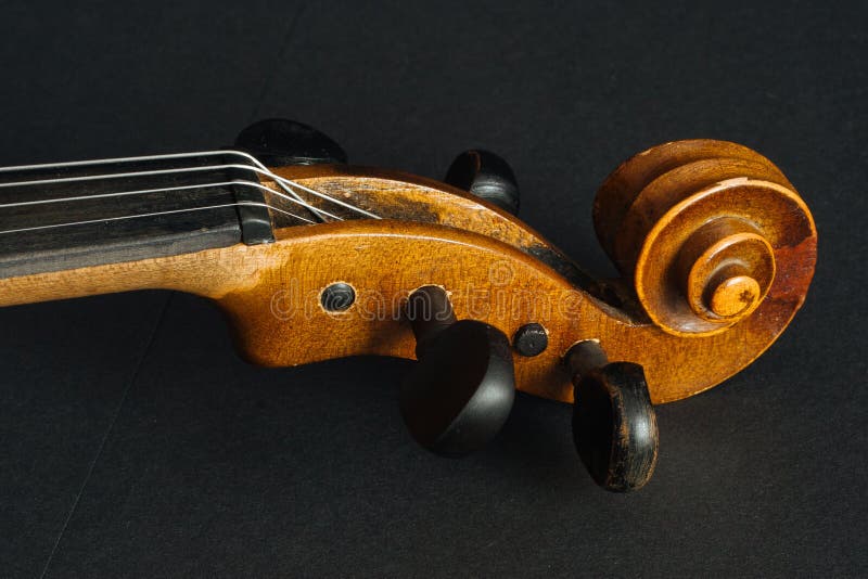 Violin Back View White Back Photos - Free & Royalty-Free Stock Photos ...