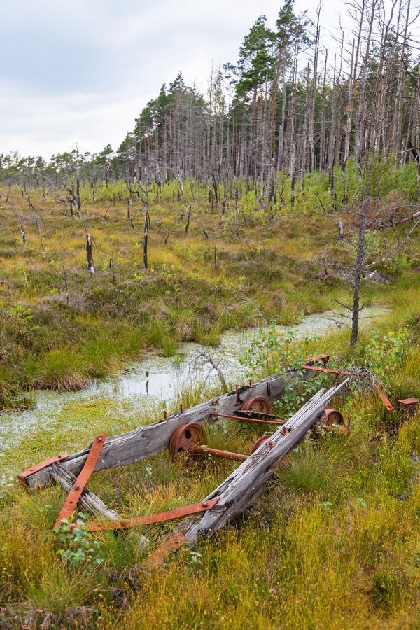 OLd wagon on the bog stock image. Image of remains, heath - 79051597