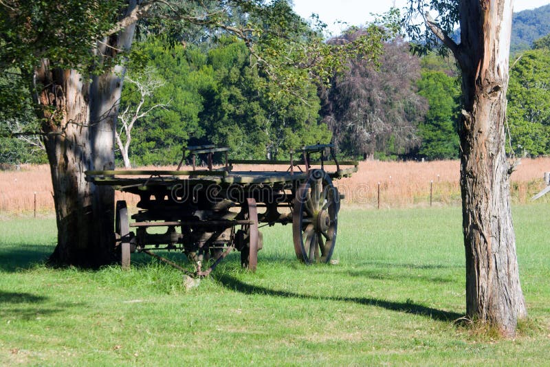 Old Wagon in a Field in a Rural Area Stock Photo - Image of grass ...
