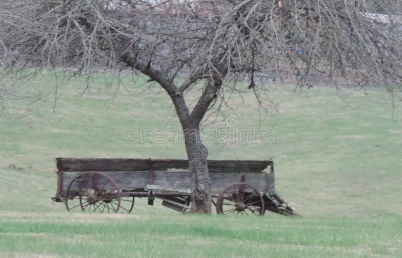 Old wagon stock image. Image of rustic, farm, wagon, beneath - 86056391