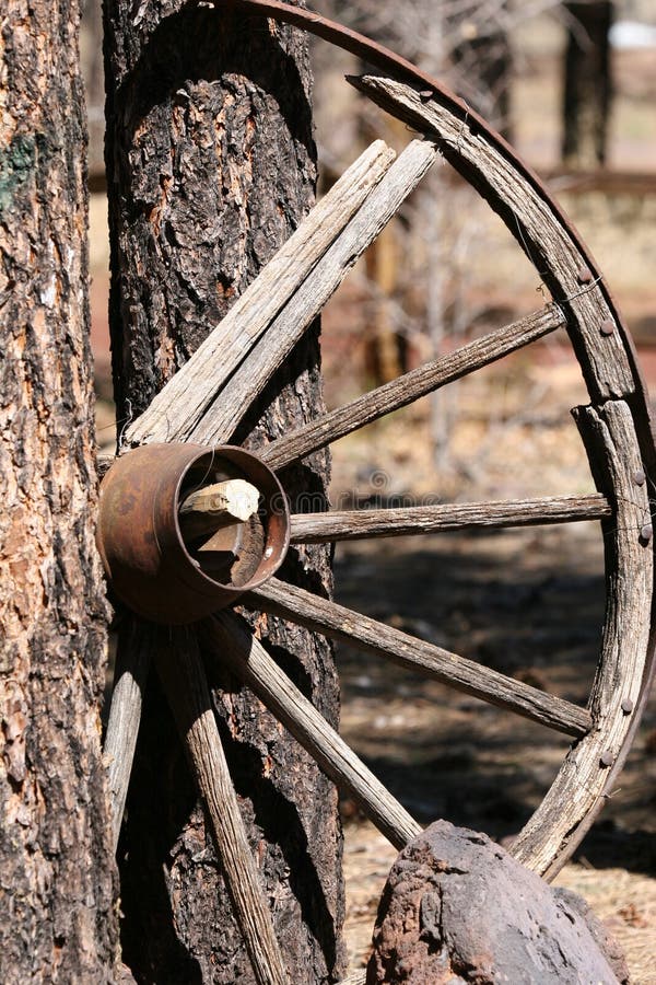 Old wagon wheel stock image. Image of round, brown, tree - 4225819