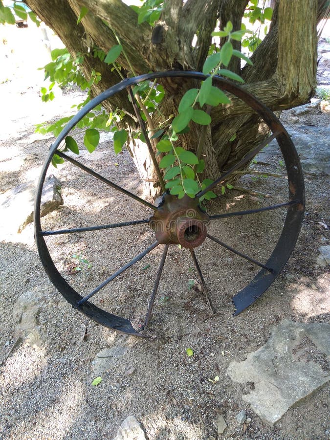 Old Wagon Wheel Leaning on an Old Tree Stock Photo - Image of wagon ...