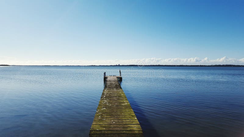 The old walf stock image. Image of bird, walf, covered - 59902715