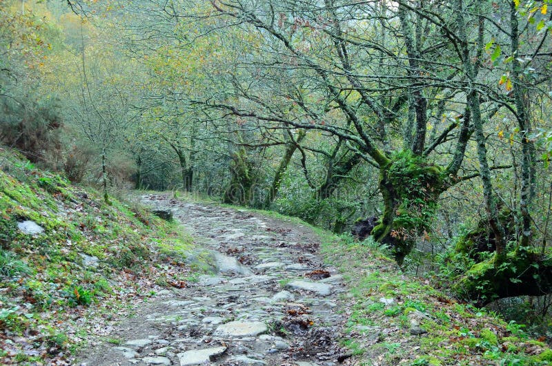 Old walk stock photo. Image of century, stone, landscape - 60860268