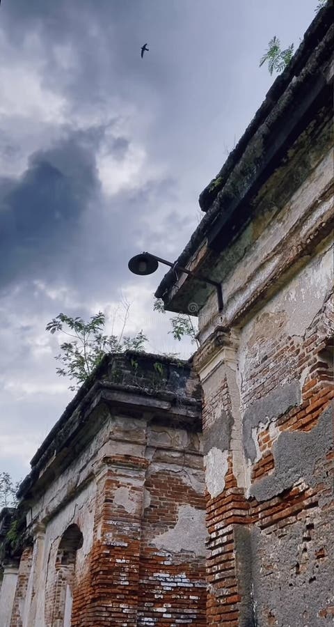 The Old walk stock image. Image of walk, oldwalk - 266396739