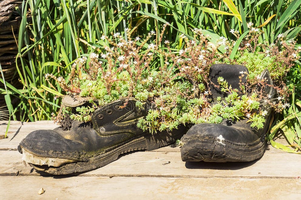 Old Walking Boots Transformed into Pots Stock Image - Image of funny ...