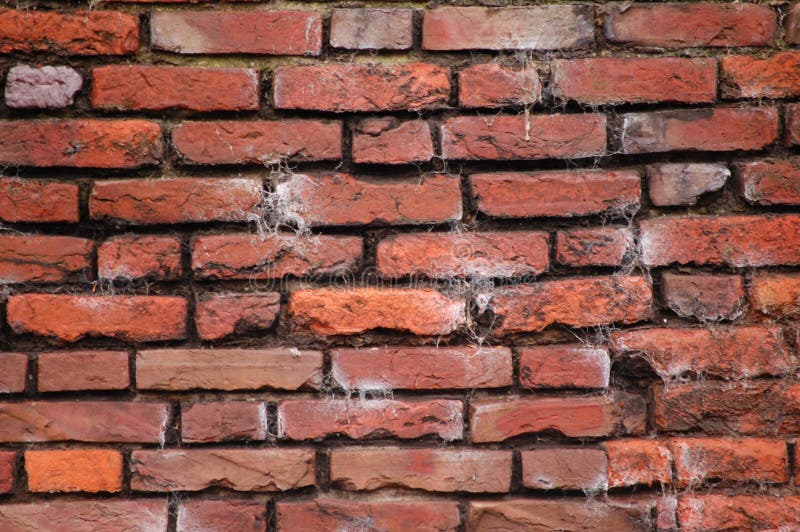 An Old Wall Picture. Image: 17858883