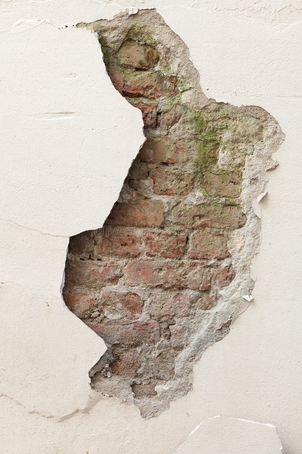 Wall Chipped Off Plaster Green Moss Stock Photos - Free & Royalty-Free ...