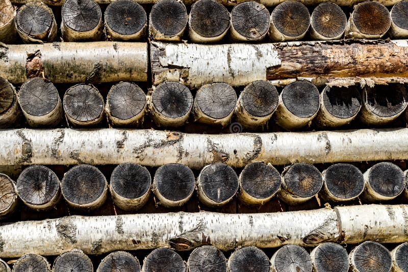 Old wall of birch logs. stock image. Image of nature - 156887193
