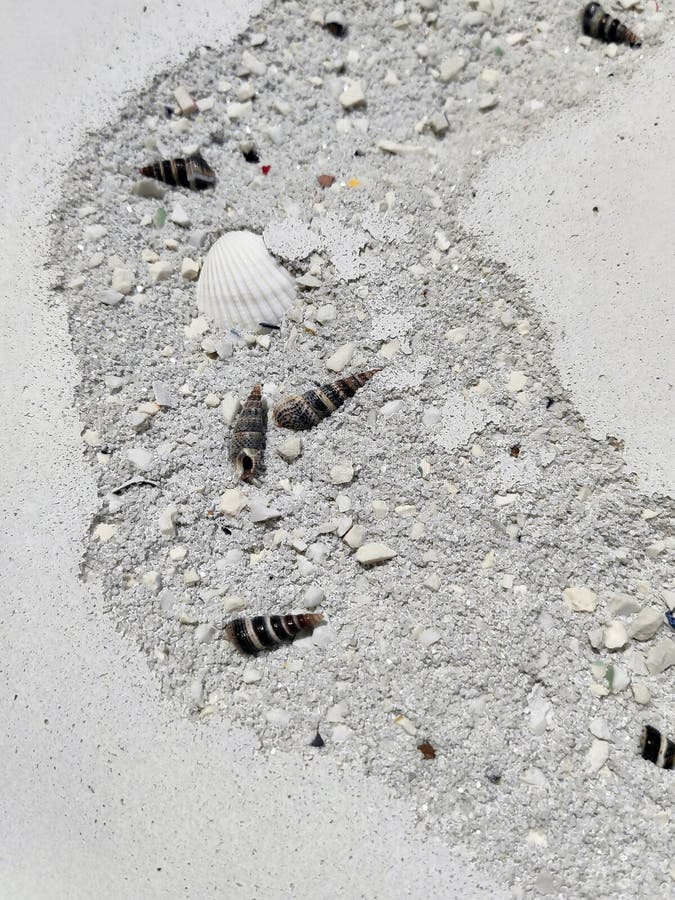 Old Wall with Cement Plaster, Sand and Shells Ideal for Background ...