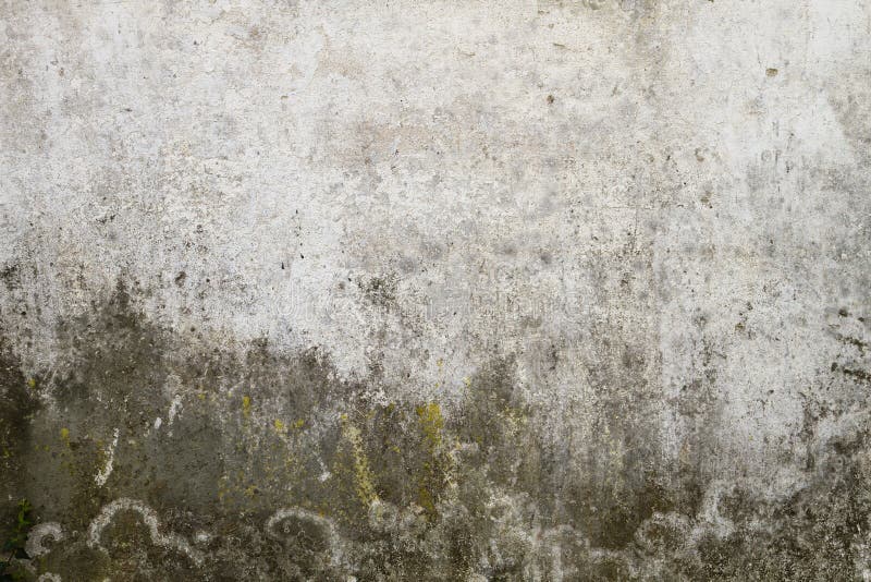 Old wall with damp stock photo. Image of paint, material - 198257502