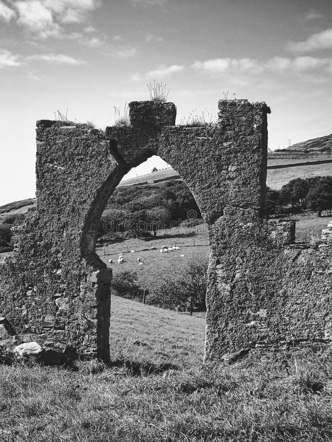 Old Wall Gate Overlooking Pasture with Cows in Ireland. Black and White ...