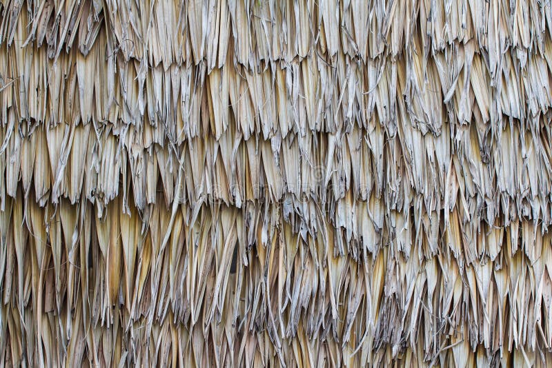 ATAP RUMBIA ATAP NIPAH, Selangor (+60 17-294 9019)