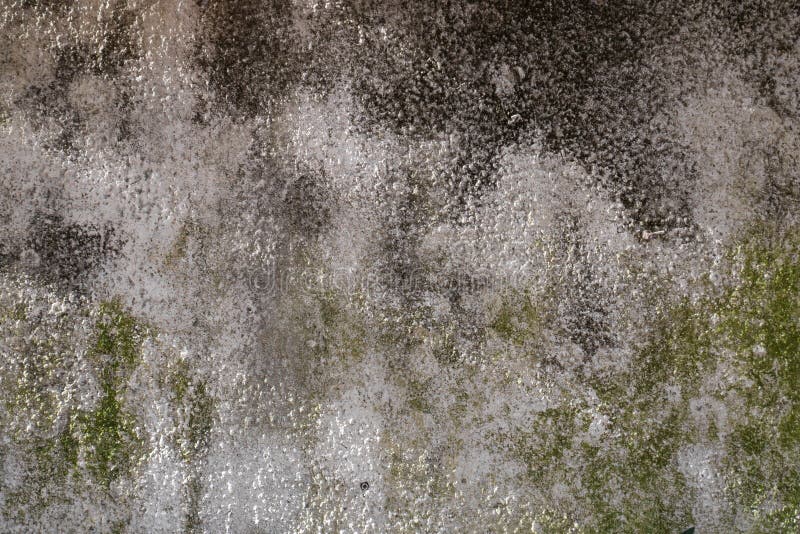 Mold Wall Texture stock photo. Image of grunge, decay - 53240988