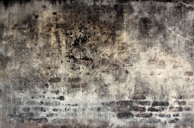 Old wall stock photo. Image of blemishes, mosses, marks - 36515172