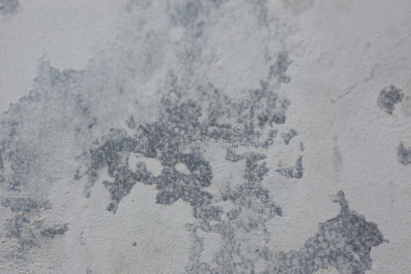 Cringe Texture Stock Photos - Free & Royalty-Free Stock Photos from ...