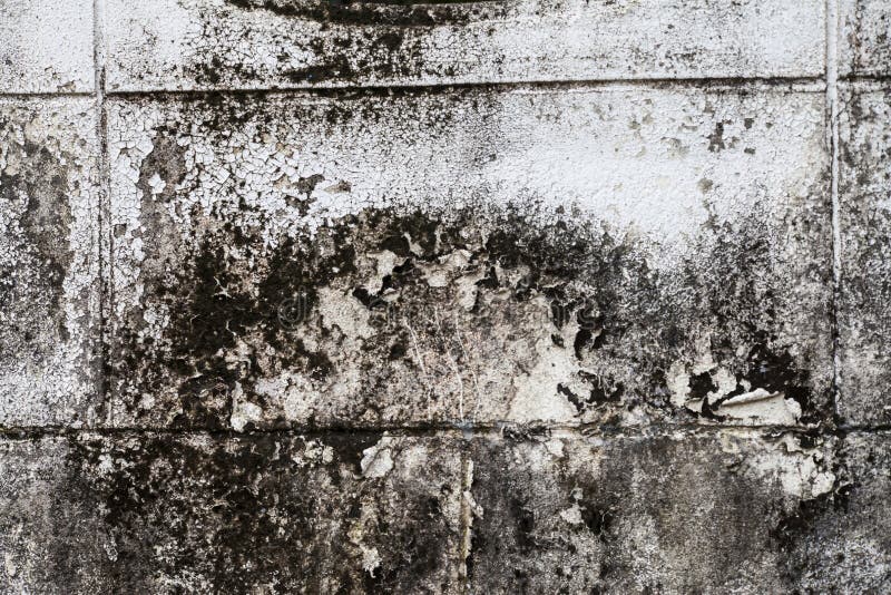 115 Old Wall Plaster Crashed Texture Stock Photos - Free & Royalty-Free ...