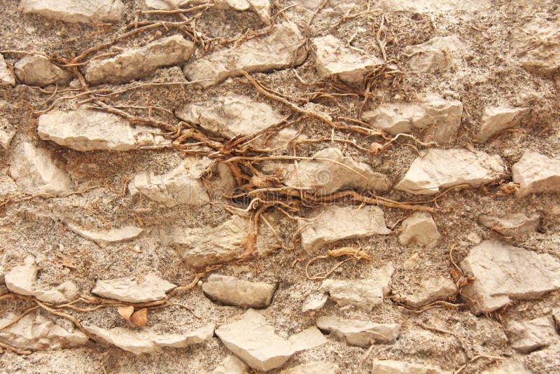 Old Wall of Red Bricks and White Brayed and Cracked Old Paint. R Stock ...