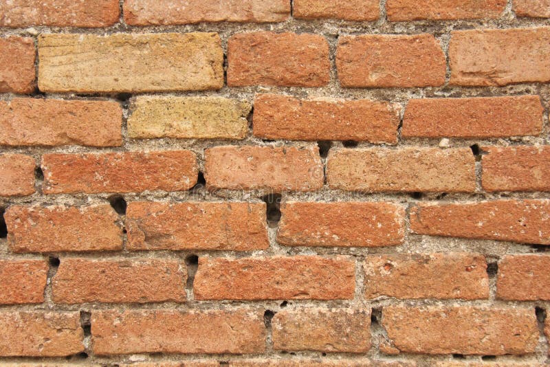 Brayed Leaves Stock Photos - Free & Royalty-Free Stock Photos from ...