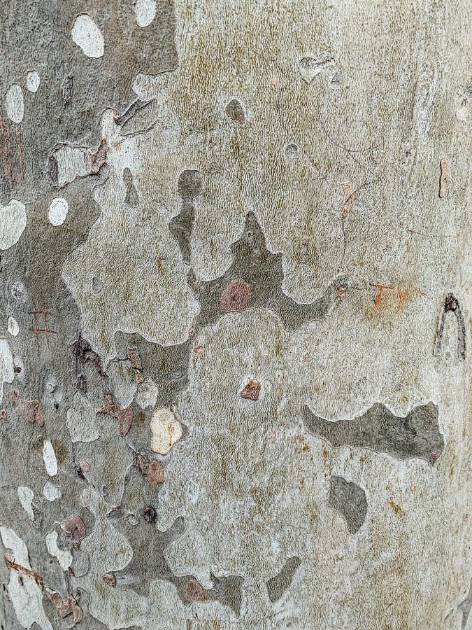 Old Vintage Wall Structure of Wood As Background Stock Photo - Image of ...