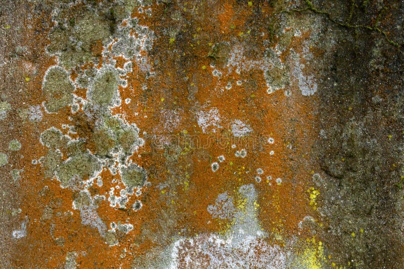 Damp in old wall stock image. Image of textured, yellow - 190381681