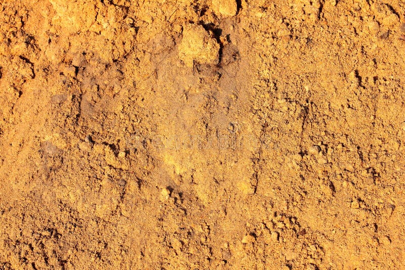 The old sand texture stock image. Image of closeup, background - 20925225