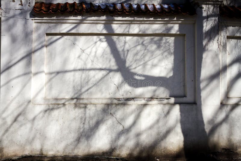 Old wall with tree shadow stock image. Image of home - 138544007