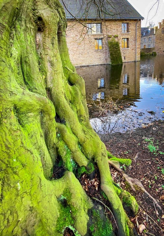 Old Water Castle with Trees and Reflections in Water Stock Photo ...