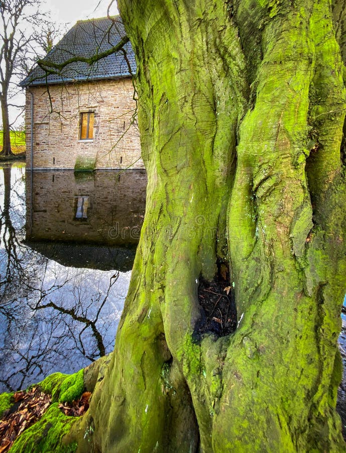 Old Water Castle with Trees and Reflections in Water Stock Image ...