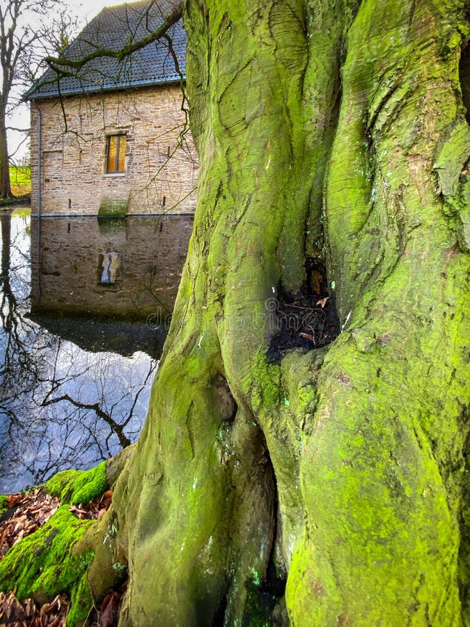 Old Water Castle with Trees and Reflections in Water Stock Photo ...