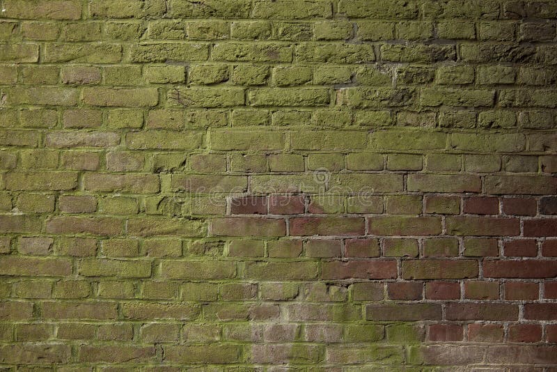 Old Weathered Brick Wall with Algae Stock Image - Image of deposits ...