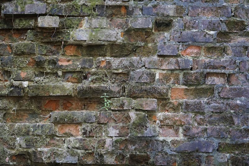 Old weathered brick wall stock photo. Image of obsolete - 333060806