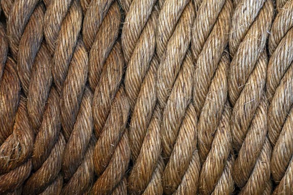10,137 Lasso Rope Stock Photos - Free & Royalty-Free Stock Photos from ...