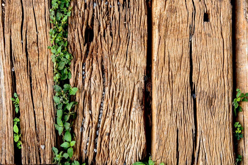 Old Weathered Cracked Wooden Railroad Tie Texture Stock Photo - Image ...