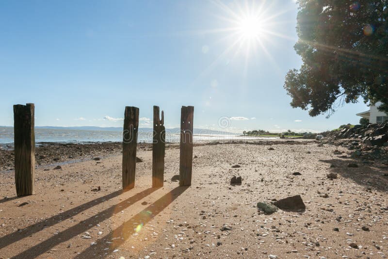 Old Weathered Jetty Posts Standing in Row on Beach Casting Shadow on ...