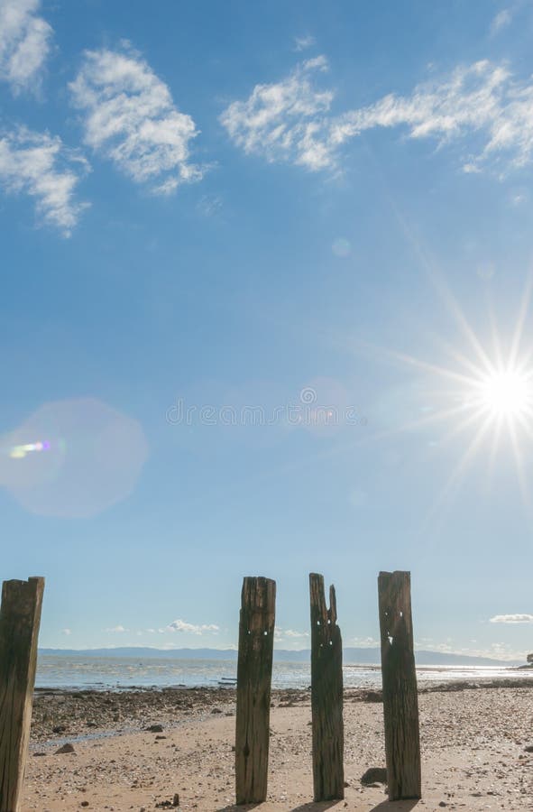 Old Weathered Jetty Posts Standing in Row on Beach Casting Shadow on ...