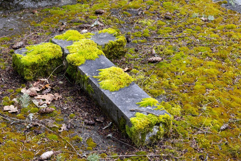 Old Weathered Moss Covered Stone Cross Stock Image - Image of burial ...