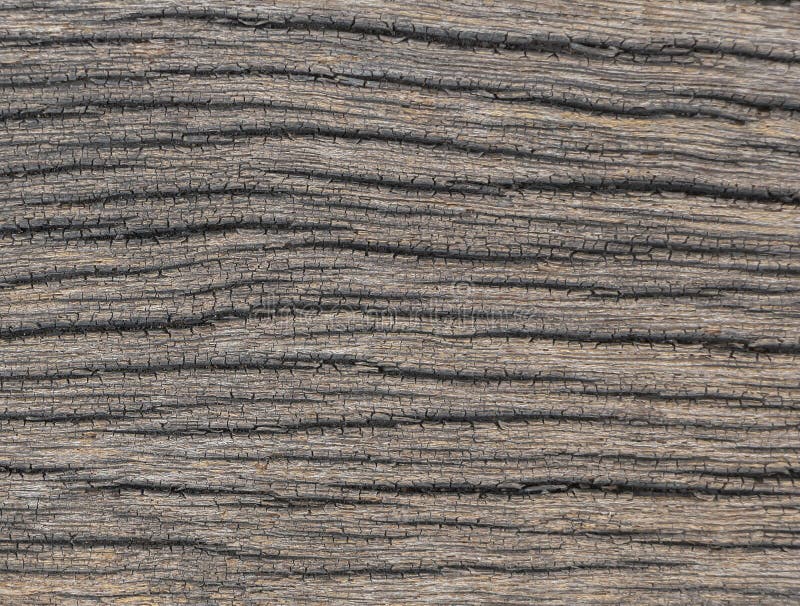 Old Weathered Planks with Beautiful Patterns Stock Photo - Image of ...