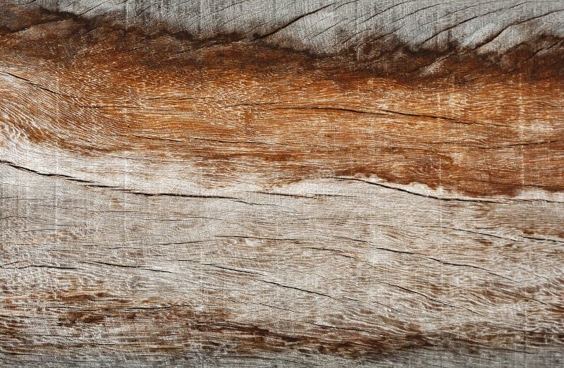 Old rustic wood texture stock image. Image of aged, color - 227970993