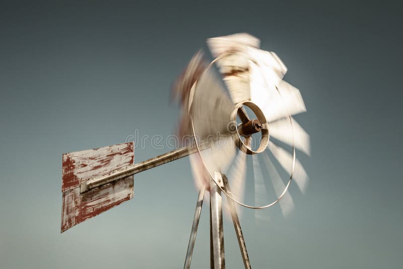 Feathers stock image. Image of feathers, soft, isolated - 7901279