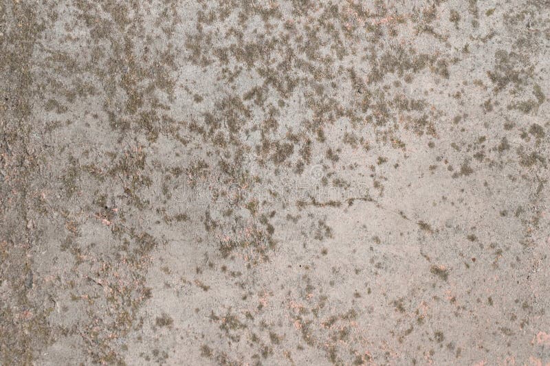 Old Weathered Surface Mold Wall Dirty Pattern Texture Background Aged ...