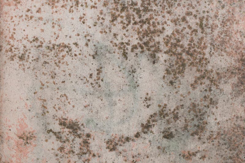 Old Weathered Surface Mold Wall Dirty Pattern Texture Background Messy ...